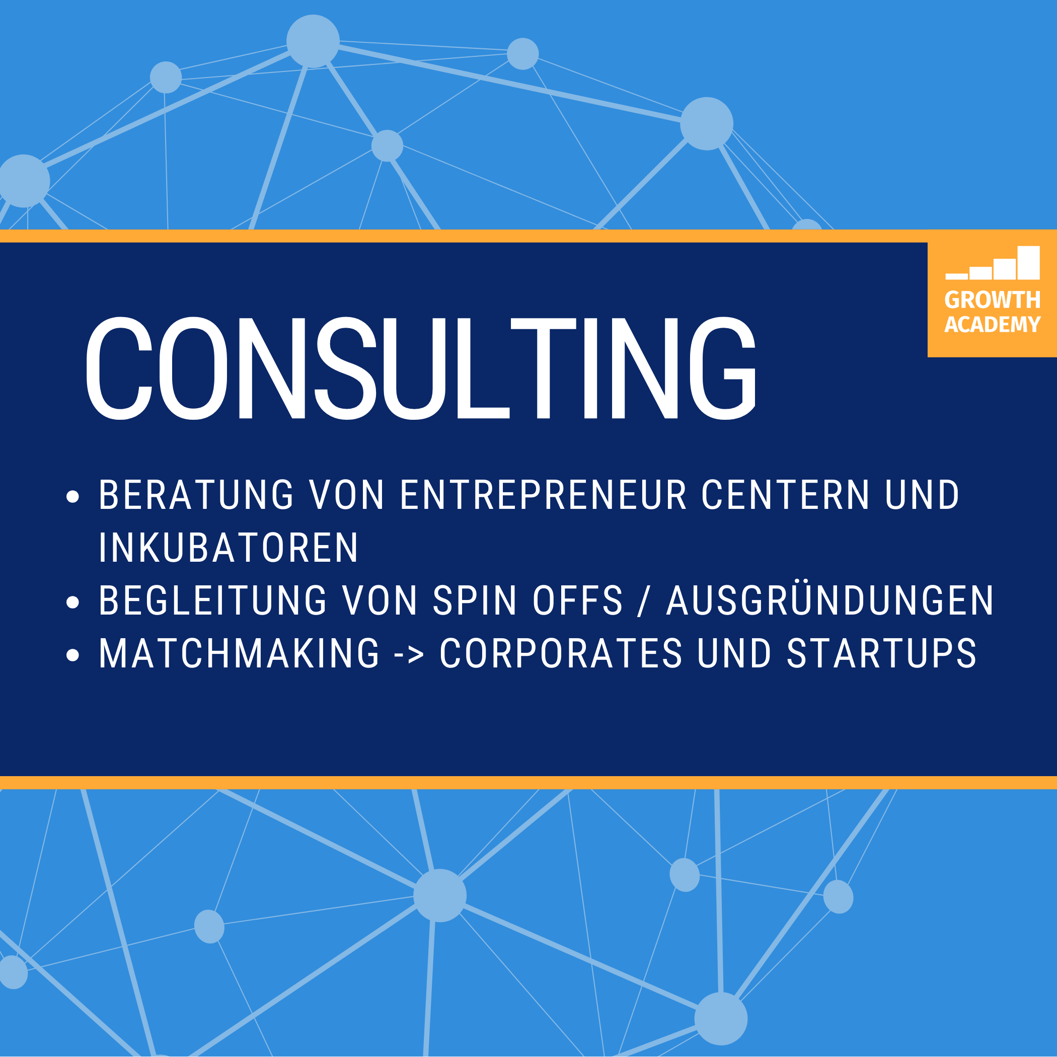 Consulting - Growth Academy